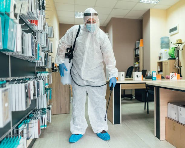 Business Management: Managing Pests in the Laundry Shop | Pestclue